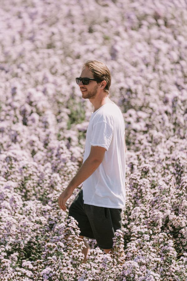 A Man Walking in Flower Field Stock Image - Image of shirt, summer ...