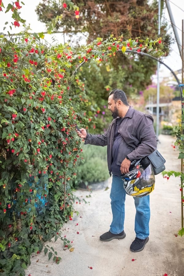 A Man Walking in the Flower Garden in Cameron Highlands Stock Image ...