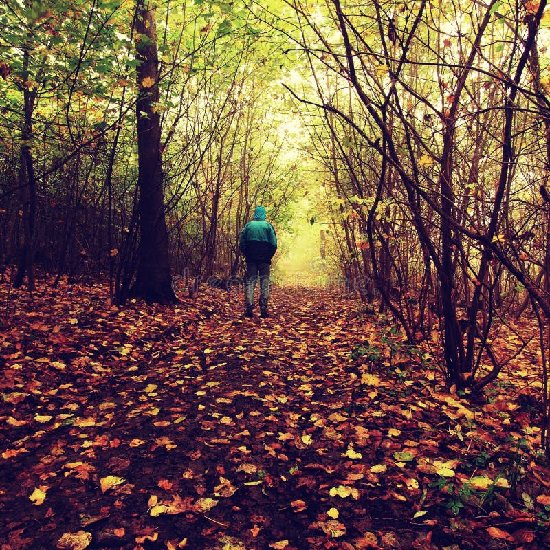 Spooky Landscape With Man Walking In Dark Forest Stock Image - Image of ...