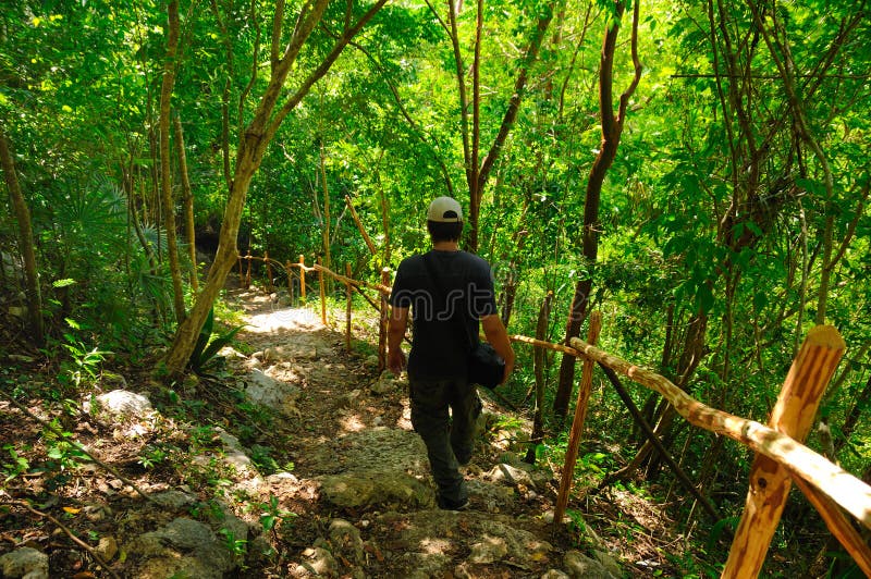 Man Walking on Forrest Trail Stock Image - Image of spring, trail: 8970401