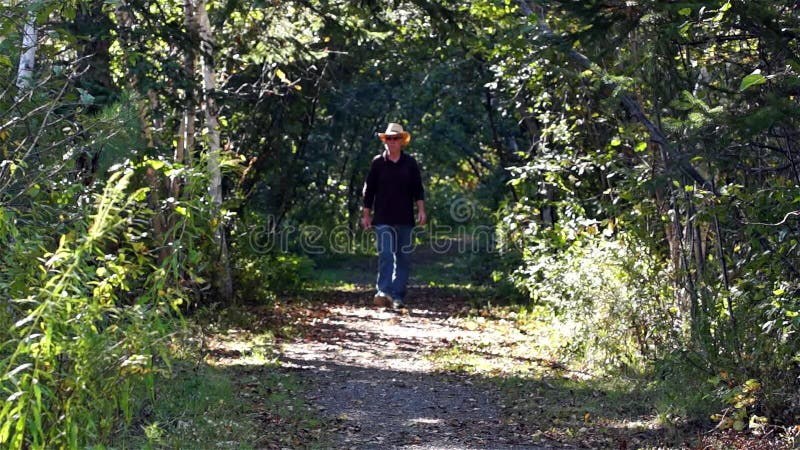 Man Walking Forward on Footpath in Shade Stock Footage - Video of long ...