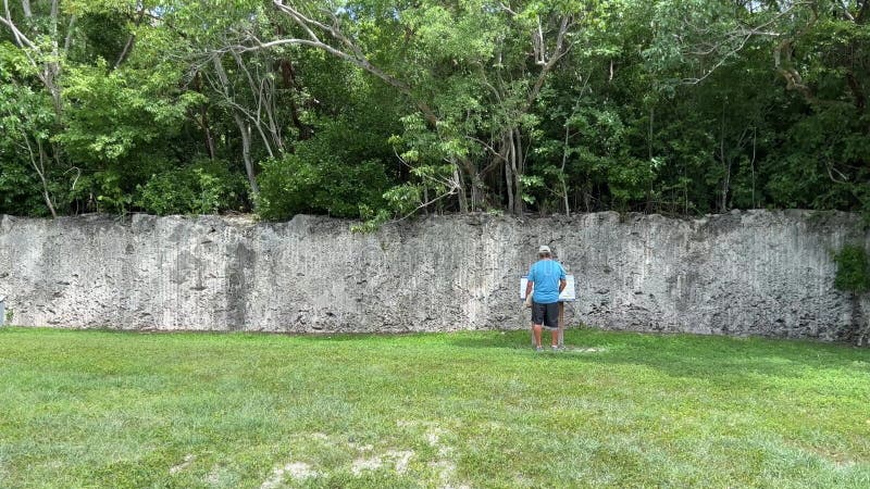 A Man Walking In The Fossil Area At Windley Key Fossil Reef Geological