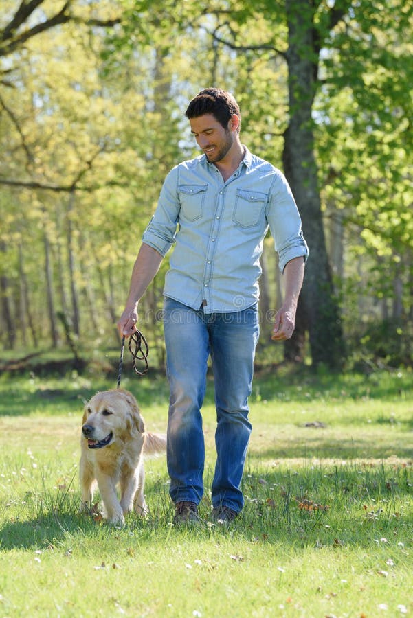 Man walking dog stock photo. Image of oneperson, meadow - 261513918