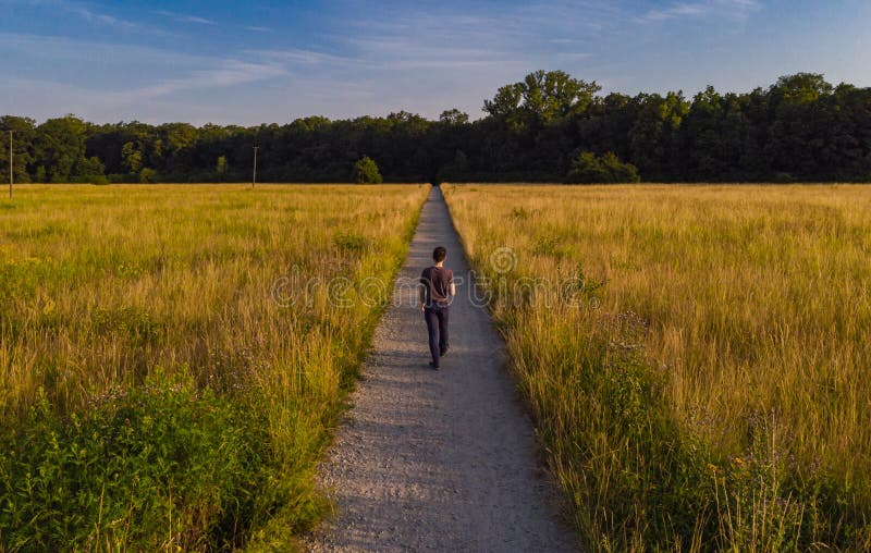 Man Walking by Long Path To Forest between Yellow Fields Stock Image ...