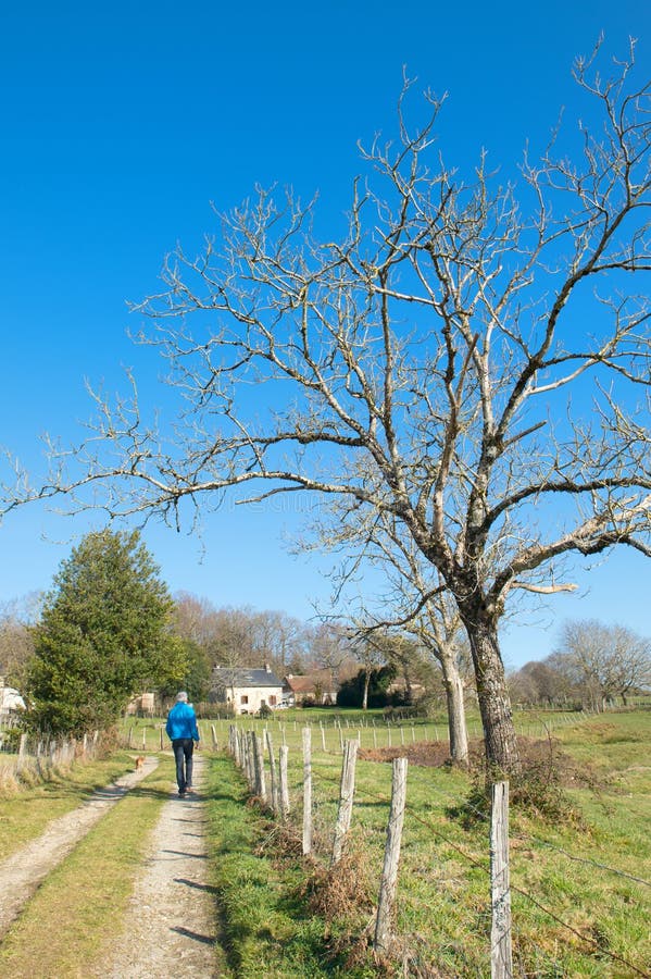 Walking in nature stock image. Image of back, backpack - 92010987