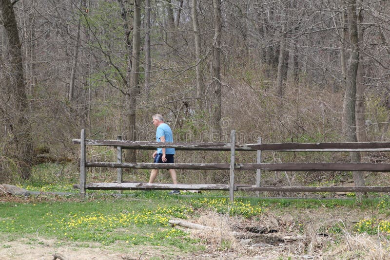 A Walk in the Park on a Spring Day. Editorial Image - Image of adult ...