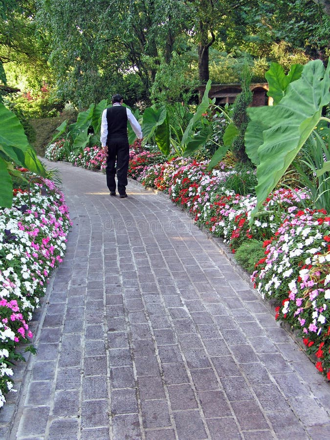 Man walking on path stock image. Image of shade, fauna - 1041011