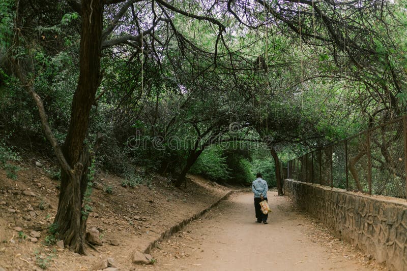 Man Walking on a Path in a Forest Stock Image - Image of footpath ...