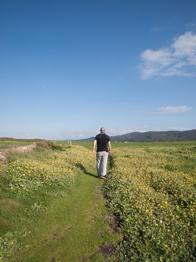 Man Walking in a Path in the Middle of Meadow Stock Photo - Image of ...