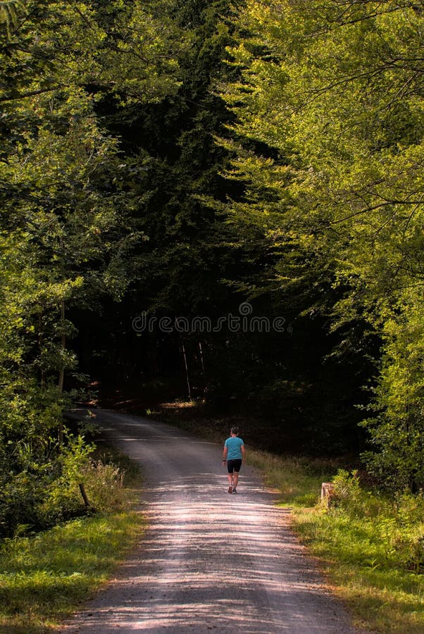 Man Walking by a Pathway in the Middle of the Forest Stock Photo ...