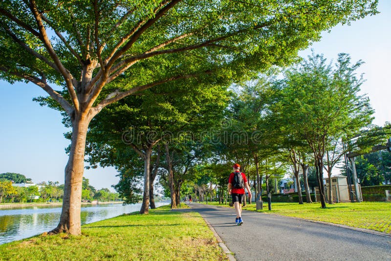 Man Walking on Road Pathway Jogging Track in the Public Park Un Stock ...