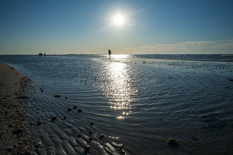 Man Walking on a Sandbar during Low Tide #1 Stock Image - Image of ...