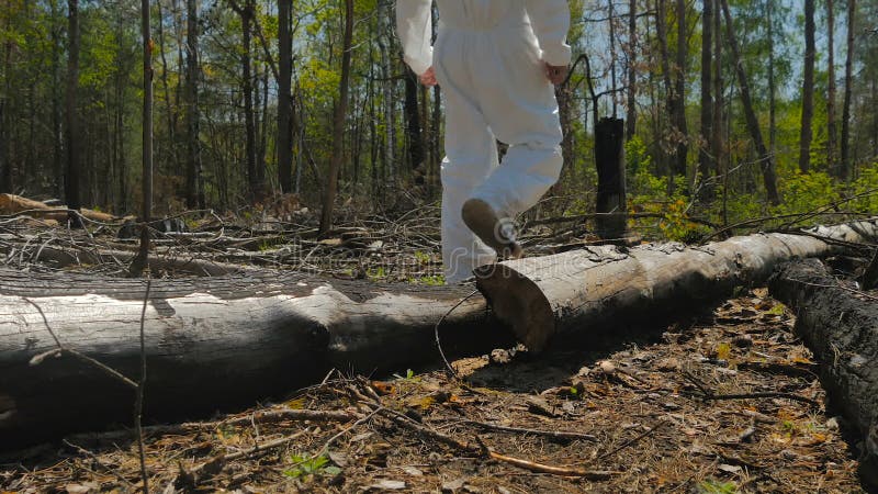 The Man Walking through the Sawn Trees in the Wood Stock Video - Video ...