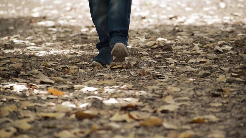 4k. Slow and fast motion stock footage. Video of activity - 225881554