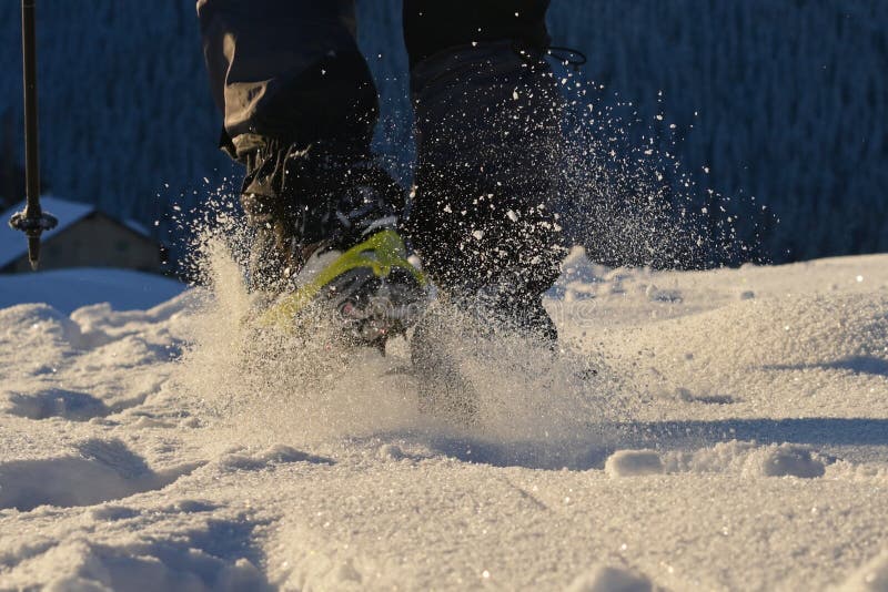 Man Walking on Snow with Shoe Spikes Stock Photo - Image of ciucas ...