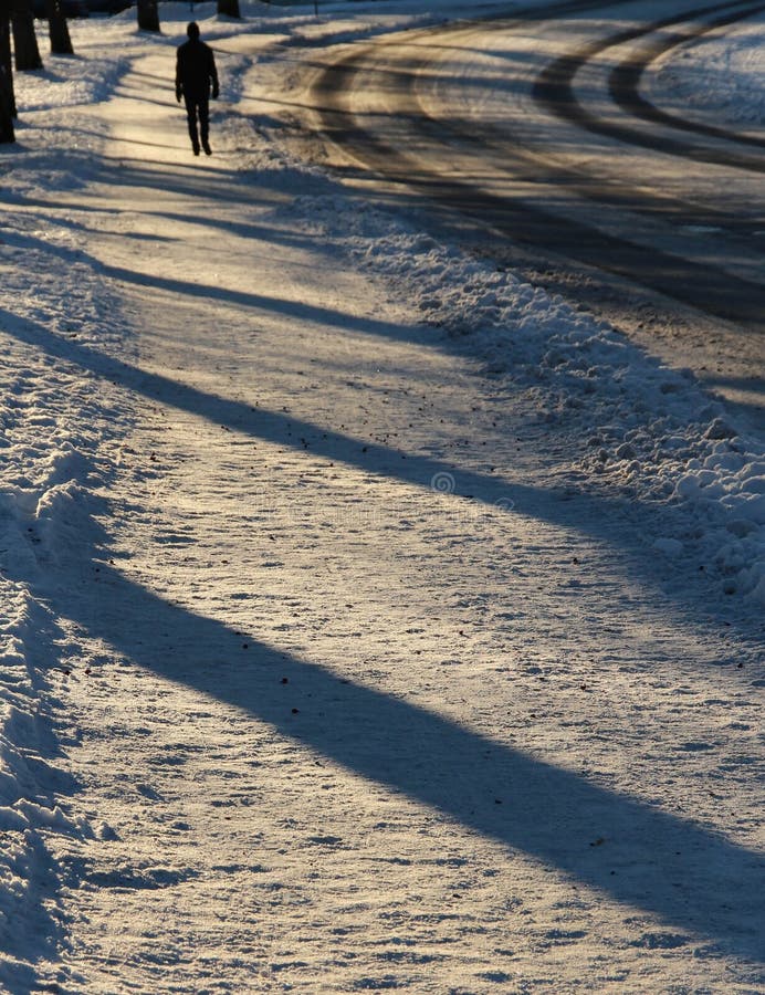 Man Walking on Snowy Pavement Stock Image - Image of tree, trunks: 48408329