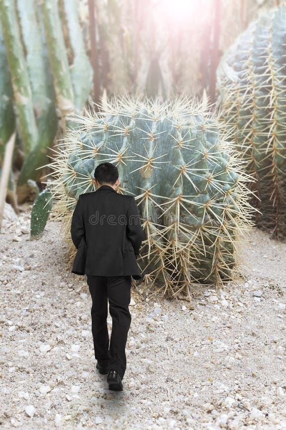 Man walking toward cactus stock image. Image of concept - 75526661
