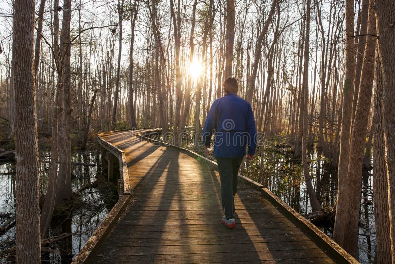 Man Walking Trail in Early Morning Stock Image - Image of fitness ...