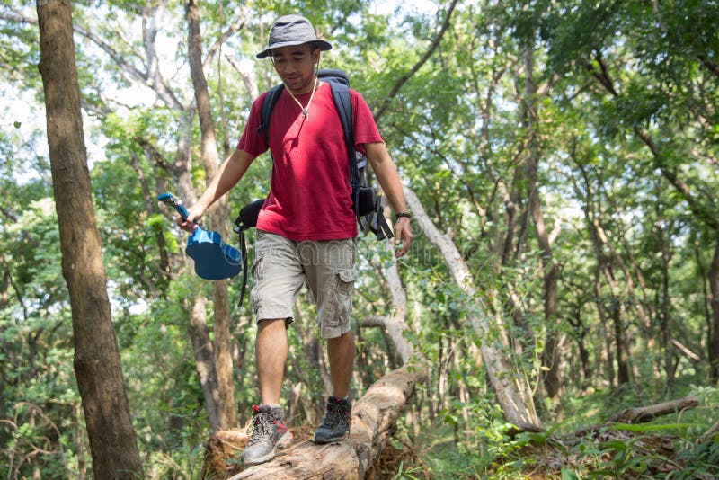 Man Walking on a Tree while Hiking Stock Image - Image of activity ...