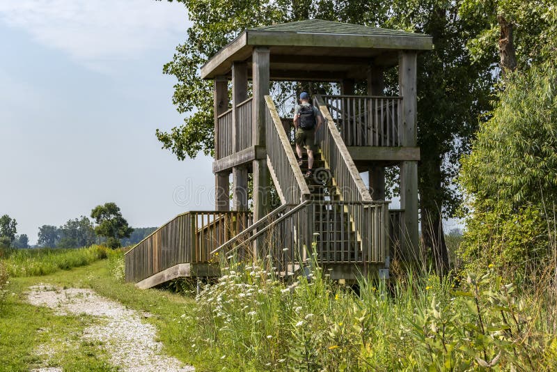 A Man Walking Up the Steps of the Observation Tower Stock Image - Image ...