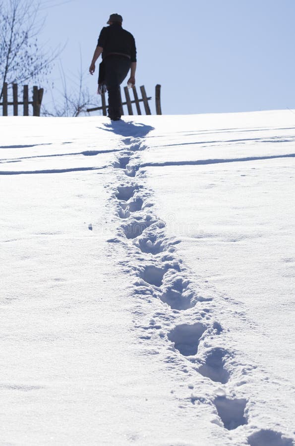 Man walking on winter path stock photo. Image of majestic - 50356648