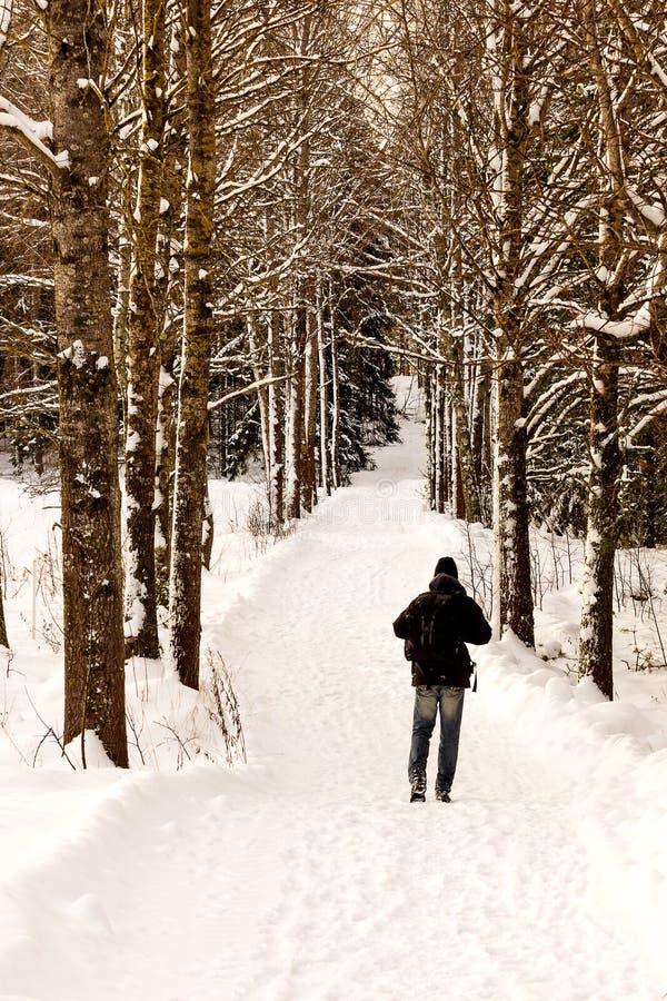 Man walking in winter stock image. Image of path, christmas - 50223687