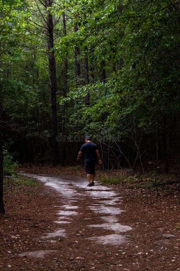 Man Walking in the Woods stock image. Image of walk - 276999235