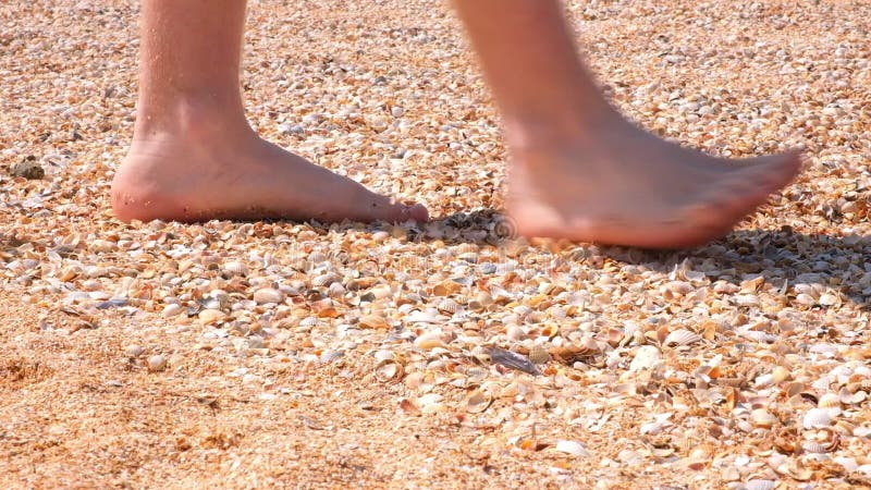 A Man Walks Along Seashore. Feet on a Sandy-shell Beach. Vacation at ...