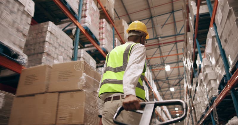 Distribution, Back and Man with Clipboard in Shipping Warehouse, for ...