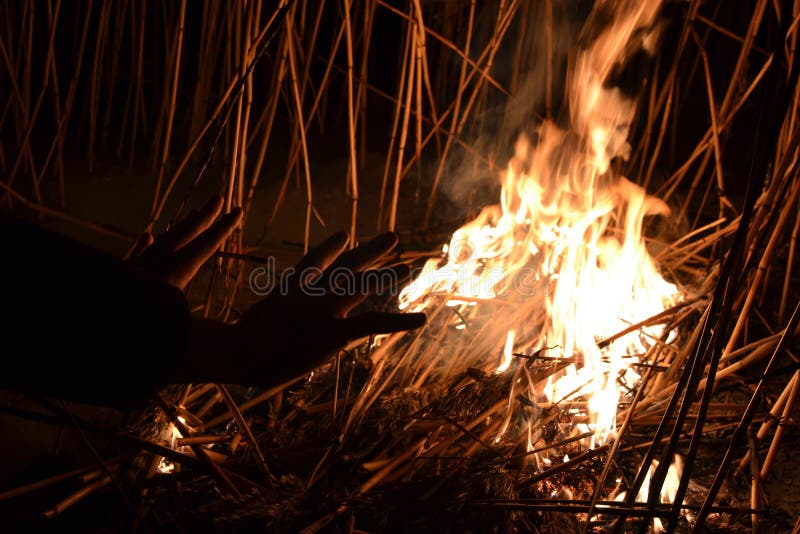 Fire lit at night stock photo. Image of fire, warming - 243927324