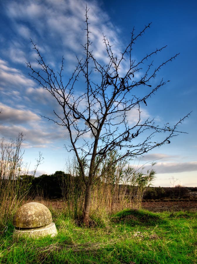 Man was here stock photo. Image of winter, vertical, future - 11856776