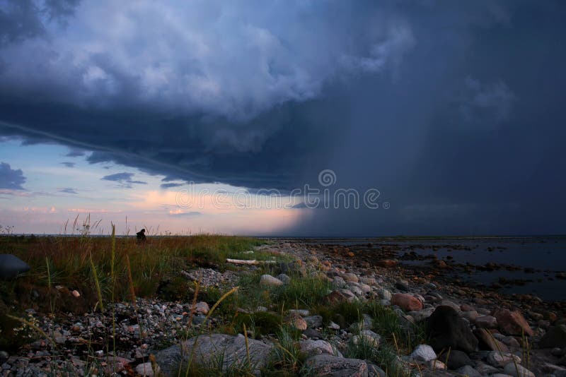 Man Watching the Approaching Storm Stock Photo - Image of hurricane ...