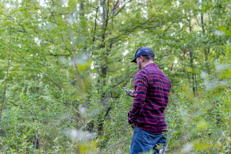 Man Watching Cell Phone in the Forest Stock Image - Image of leisure ...