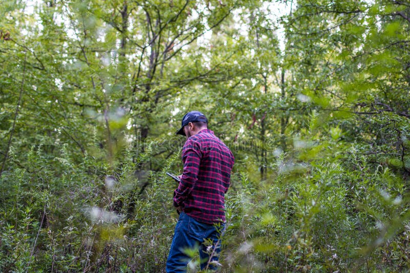 Man Watching Cell Phone in the Forest Stock Photo - Image of leisure ...