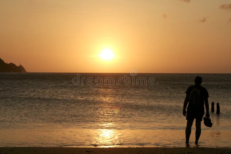 Man Watching Sunset - Free Photo from StockFreeImages