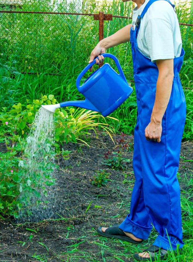 A man with a watering can, stock photo. Image of caucasian - 158203026