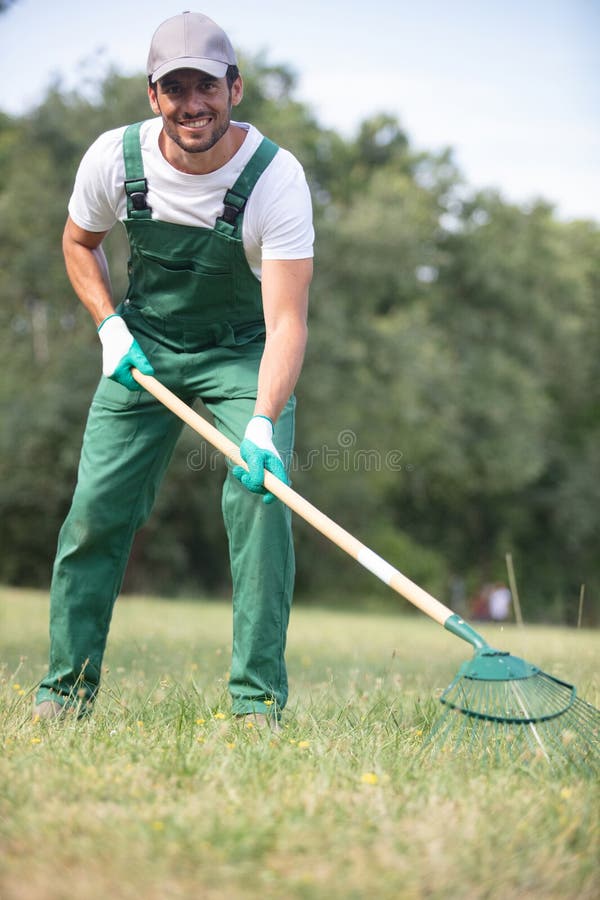 Man Wearing Green Overalls Using Leaves Rake Stock Photo - Image of ...