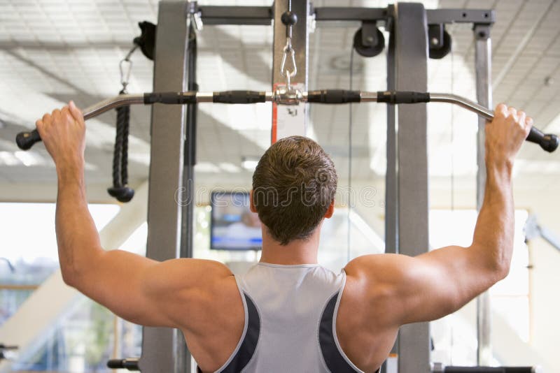 Man Weight Training at Gym stock photo. Image of view - 7230918