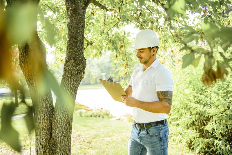 Man with a White Hard Hat Holding a Clipboard, Inspect Tree Stock Photo ...
