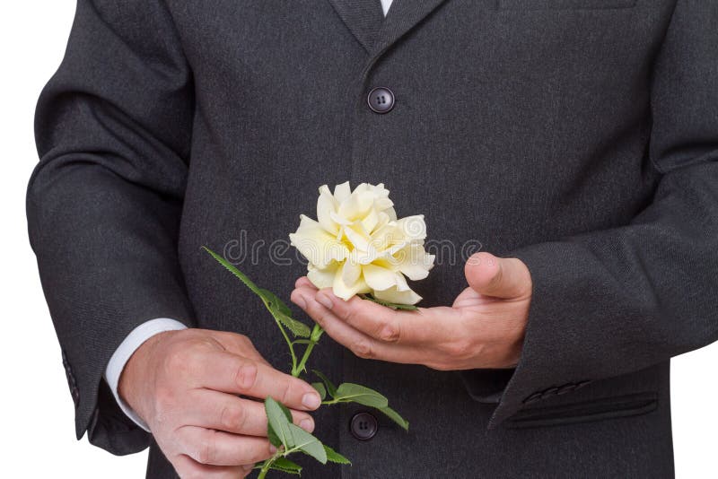 Man with a white rose stock image. Image of plant, flirting - 31661539