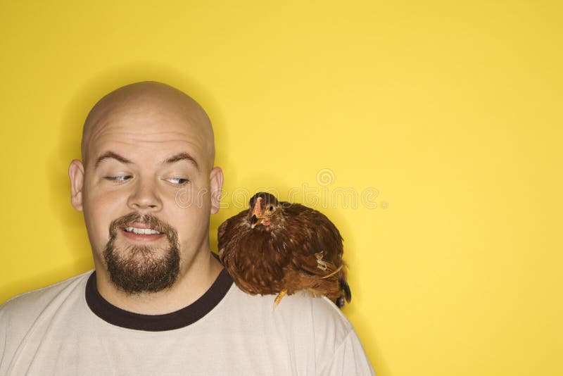 Bald Man with Chicken on Head Stock Photo - Image of farm, agriculture ...