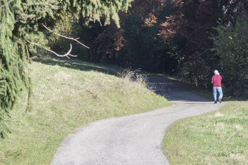 Man walking on a path editorial photography. Image of tree - 106995992