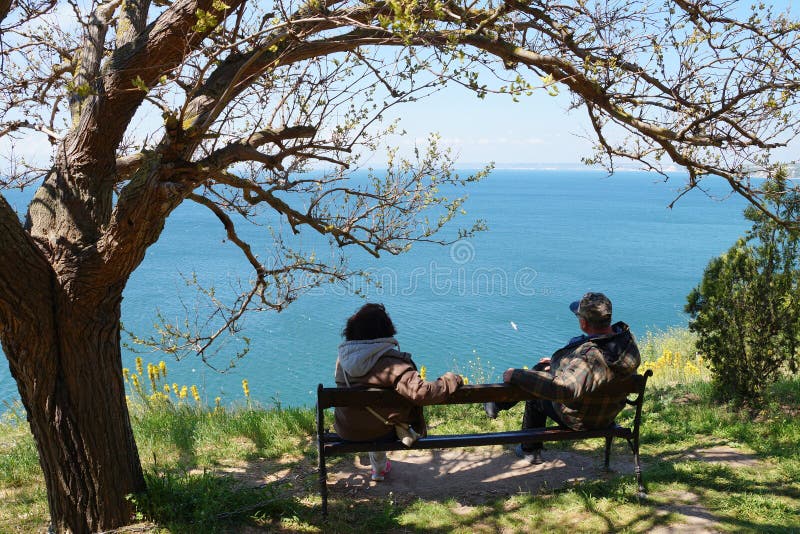 Man and Woman on a Bench on a High Seashore, Rear View Stock Photo ...