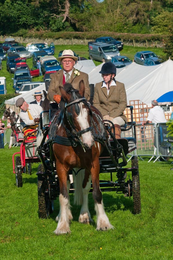 Man and Woman in Horse and Carriage Editorial Stock Image - Image of ...