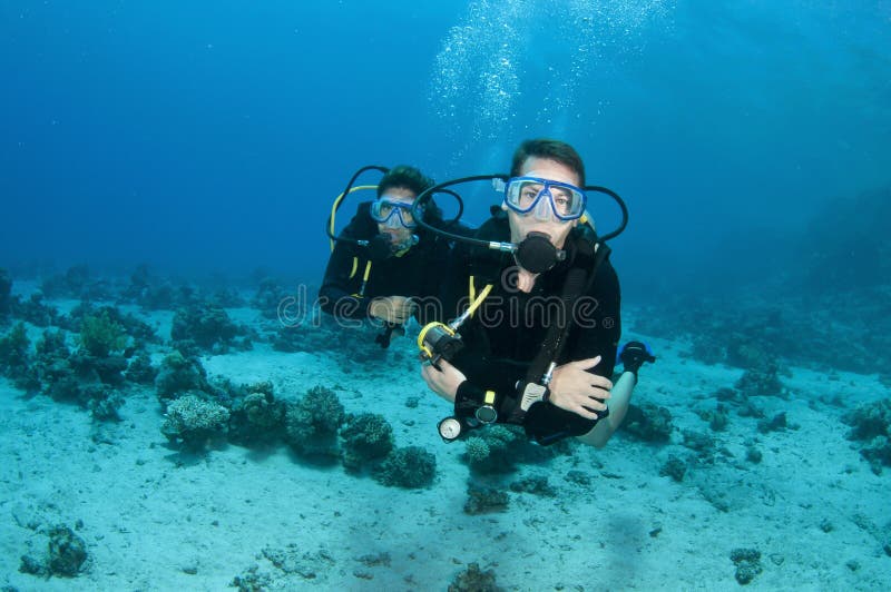 Man and woman scuba diver stock image. Image of happy - 20347979