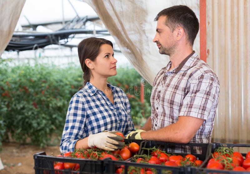 Man and Woman Talking in Farm Warehouse Stock Photo - Image of standing ...