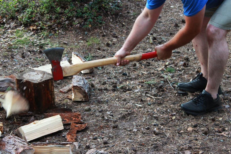 Man in the Woods Stabbing Firewood with an Ax. Stock Image - Image of ...