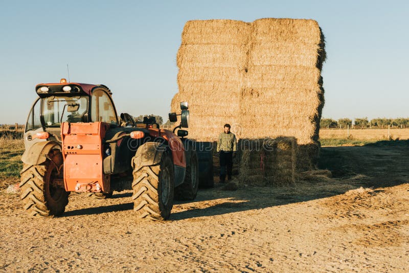 A Man in Work Clothes Preparing Feed To Be Transported on a Tractor ...