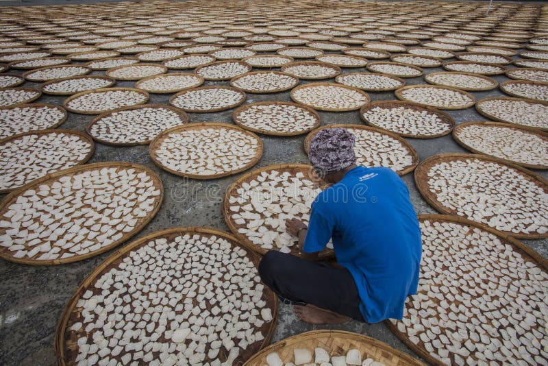 Man at Work on Drying Process of Crackers Factory Editorial Photography ...