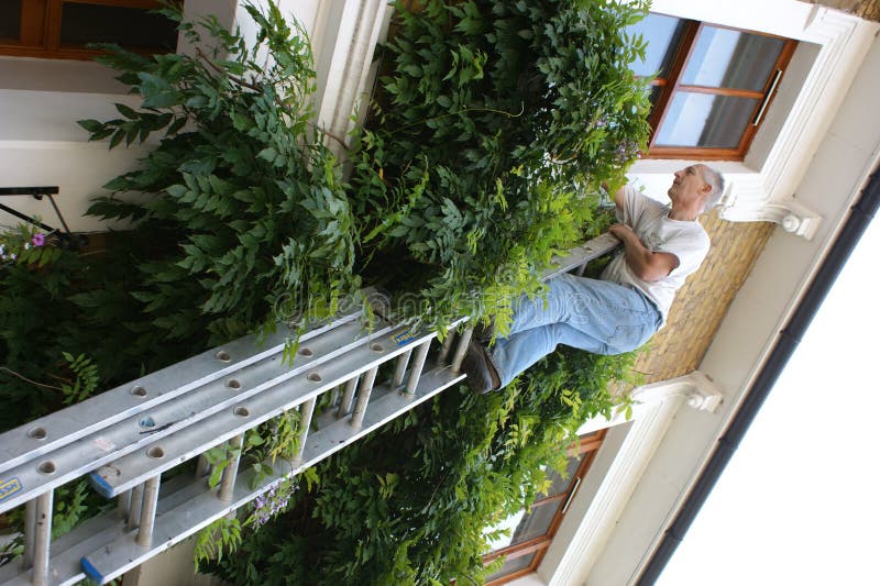 Man at work up a ladder stock image. Image of work, safe - 10373789